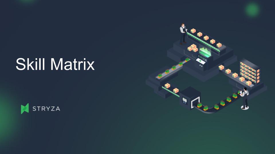 Stryza Blog Skill Matrix
